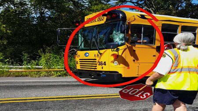 Parents outraged over school bus accident that sent glass flying ...