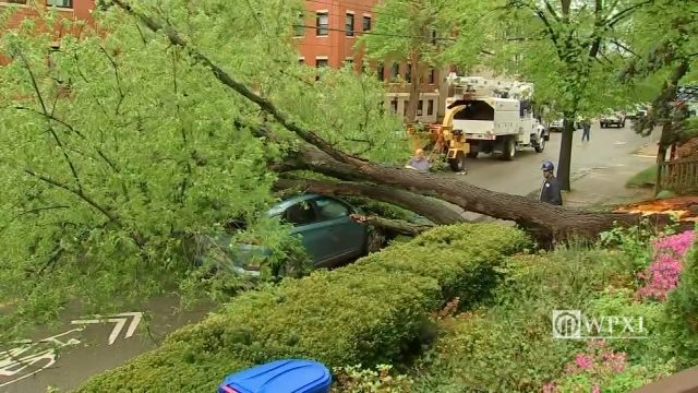 PITTSBURGH TREE FALL: Massive tree falls on car with women inside | WPXI