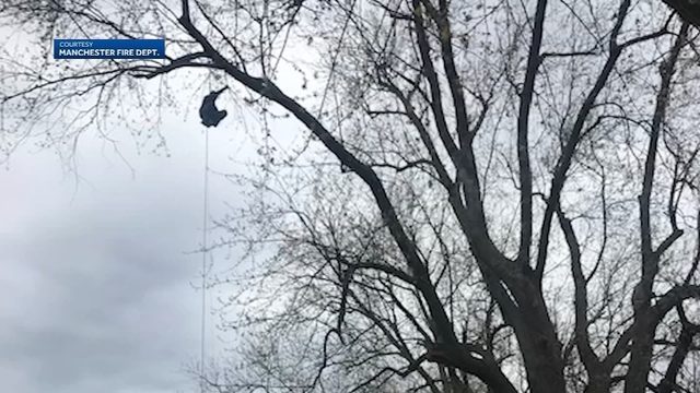 Man gets stuck in tree trying to retrieve drone | WPXI