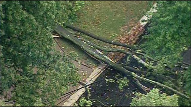 MT LEBANON TREE: 1 person injured when large tree falls in Mt. Lebanon ...